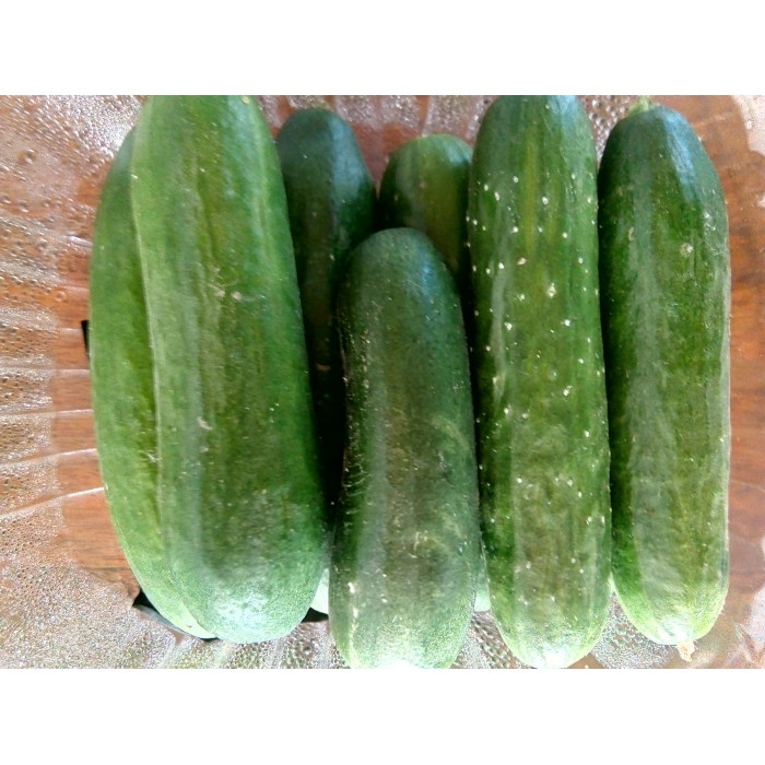 Organic Box Cucumber Mini Snack P P ±200g