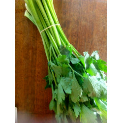 Organic Box - Fresh Vegetables